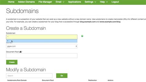 setup adding wildcard subdomain cpanel better voice youtube