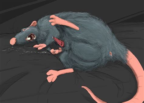Post 1027305 Infamousmustelid Ratatouille Remy