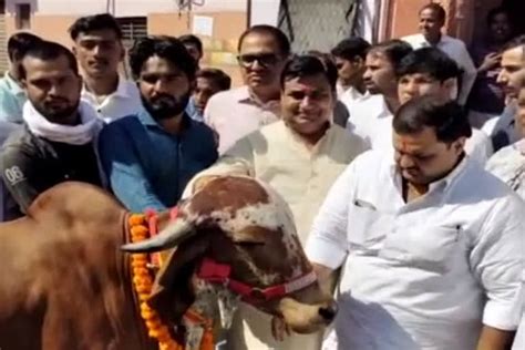 वोटों के लिए भाजपा जपती है गौ माता का नाम नहीं करती सेवा गोविंद सिंह