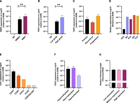 Frontiers Immune Checkpoint And Telomerase Crosstalk Is Mediated By