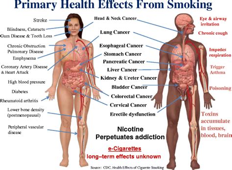 Primary Health Effects From Smoking Figure 1 Used With Permission From