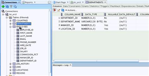 testing and debugging procedures using sql developer