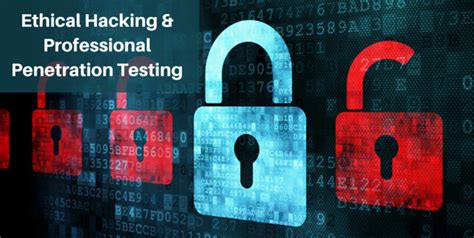 penetration testing training pantyhose gallery