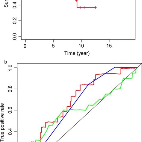 The Prognostic Model Constructed By Autophagy Related Lncrnas Is An