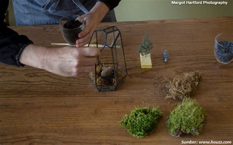 Diy Membuat Terrarium Tumbuhan Lumut Untuk Hiasan Di Rumah
