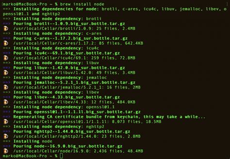 how to install node js and npm on mac {step b step}