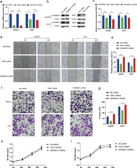 Figure 9 From Development And Validation Of A Novel Prognosis Model