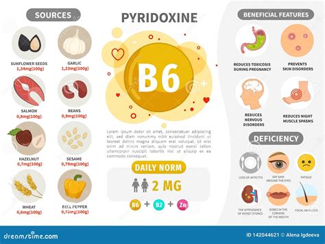 Vitamina B6 De Infographics Ilustração Do Vetor Ilustração De Perda