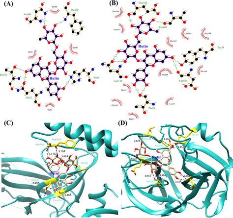 Protein Ligand Interactions Diagram Of Spike Protein And Main Protease
