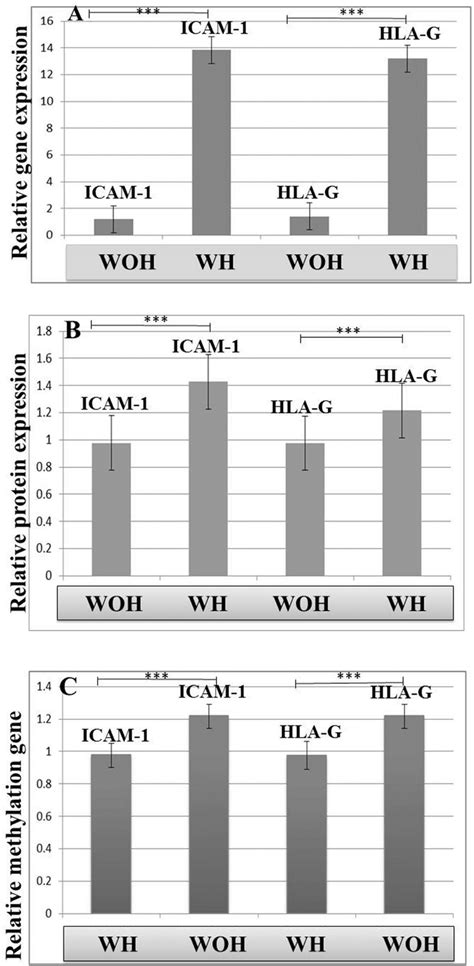 A Comparison Of Icam 1 And Hla G Genes Expression Of Q Pcr Analysis