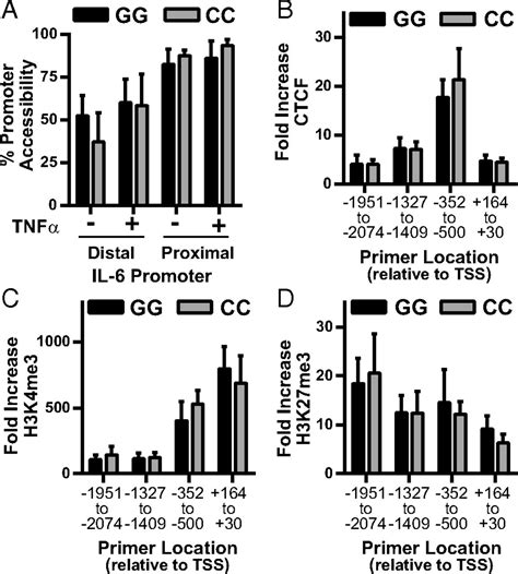 Genetic Polymorphism Directs Il 6 Expression In Fibroblasts But Not