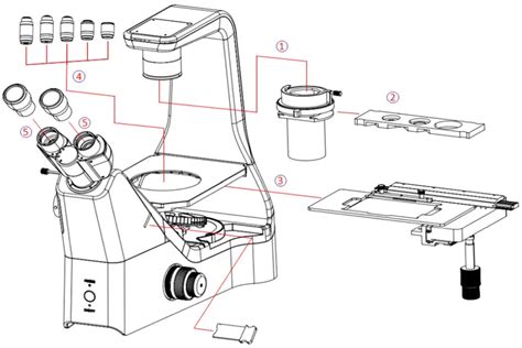 Accu Scope Exi 410 Series Inverted Microscope Instruction Manual