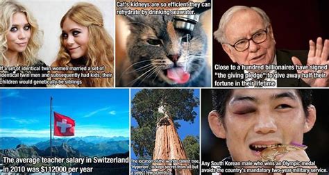 28 Things You Never Knew Were Actually Facts
