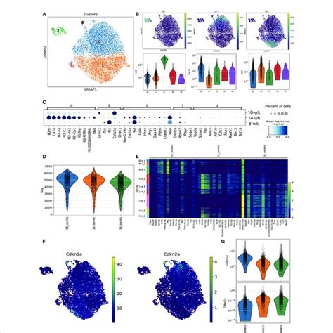 Scrna Seq Analysis Of A Cells In Nod Mice A Dot Plot Transcriptional