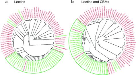 hierarchical radial tree of predicted classes of carbohydrate binding