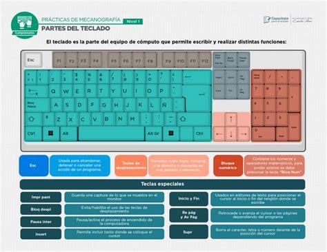Partes Del Teclado Pdf