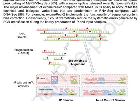 Illustration Of Merip Seq Protocol In Merip Seq Two Types Of Samples