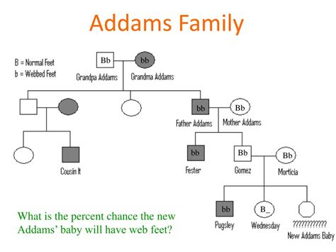 Ppt Genetics Powerpoint Presentation Free Download Id 5715614
