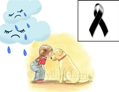 Fallece Niña De 2 Años Al Comer Galleta Envenenada Que Era Para Su Perro