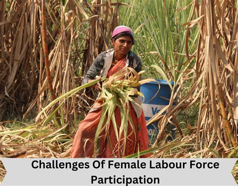 Challenges Of Female Labour Force Participation Lfp In 2024 Forumias