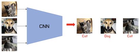 github vishwateja19 binary classification cnn custom model this is a