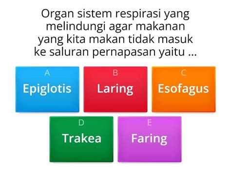 Lkpd Sistem Pernapasan Quiz