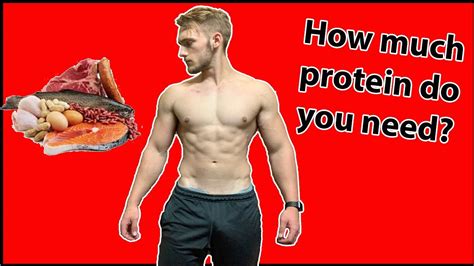 How Much Protein Do You Actually Need Youtube