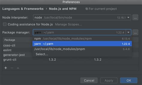 npm pnpm and yarn help webstorm