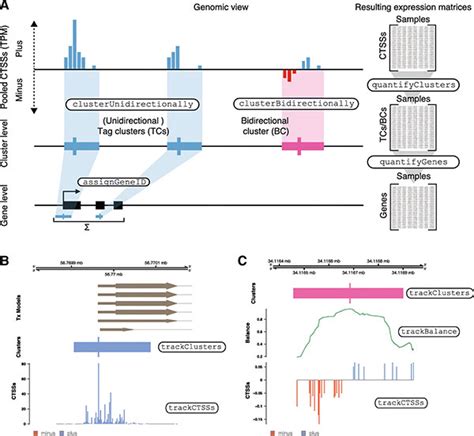cagefightr analysis of 5′ end data using r bioconductor rna seq blog