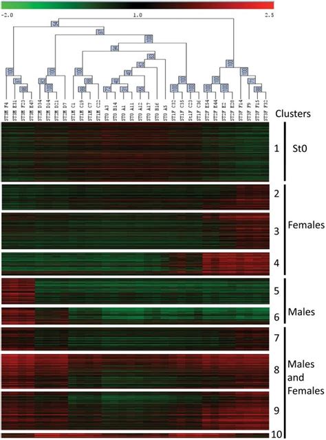 hierarchical clustering obtained using pearson s correlation on the 32