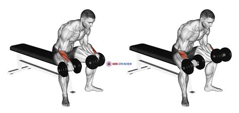 Dumbbell Reverse Wrist Curl Home Gym Review