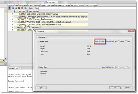 how to copy blob data from one table another in oracle sql developer