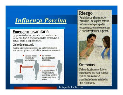 Microsoft Power Point Lo Que Debemos Saber De La Influenza Para