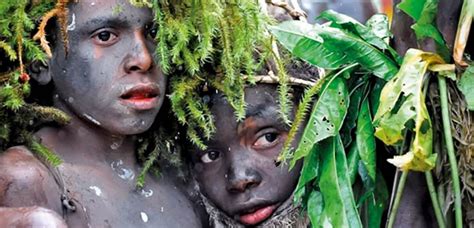 Empowering Indigenous Peoples To Manage And Protect Their Local Forests