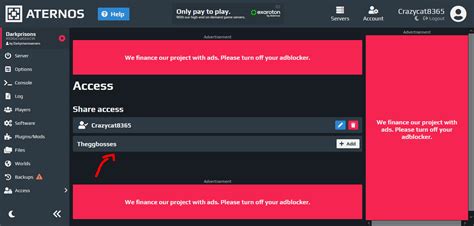 starting the server server aternos community