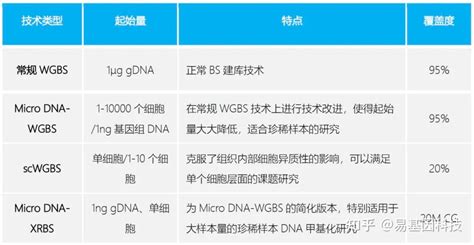 易基因：wgbs Chip Seq等表观组分析揭示foxm1 是抗肿瘤免疫应答的关键调控因子 深圳市易基因科技 博客园