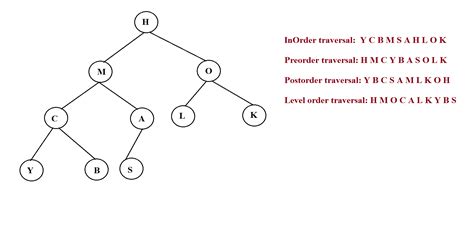 binary trees algo tutor