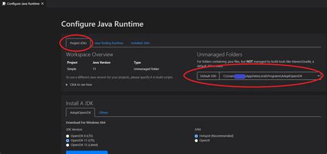 java i have java home set in the necessary environments but a vscode