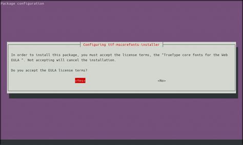 how to install microsoft fonts on linux