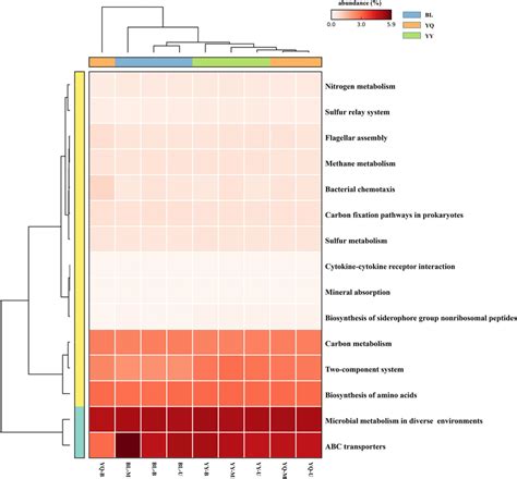 Heatmap Of Main Metabolic Pathways In Kegg Database Horizontal