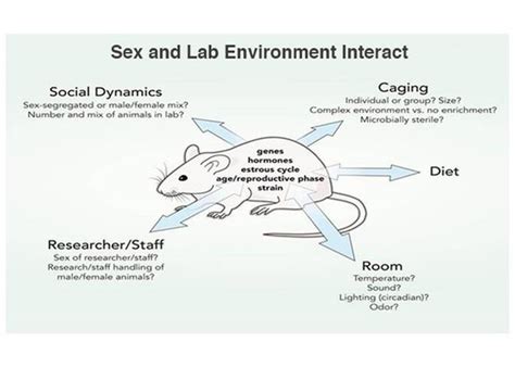 analyzing how sex and gender interact gendered innovations
