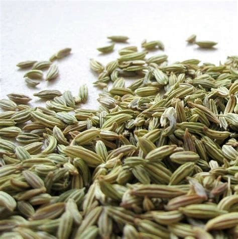 Spice Substitutions Chart For Common Indian Spices Spiceitupp