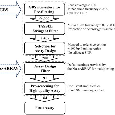 Workflow Demonstrating The Steps Used In Marker Identification And