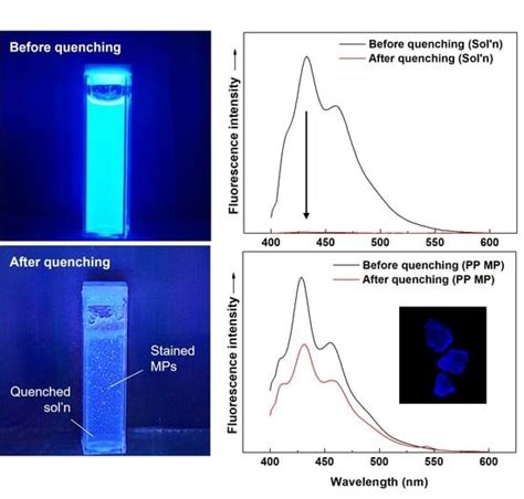 Polymers Free Full Text In Situ Fluorescent Illumination Of