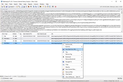 netanalysis® v2 8 and hstex® v4 8 released digital detective