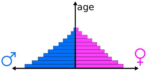 age sex structure geography notes for w b c s examination