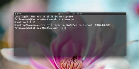 how to install homebrew on macos catalina