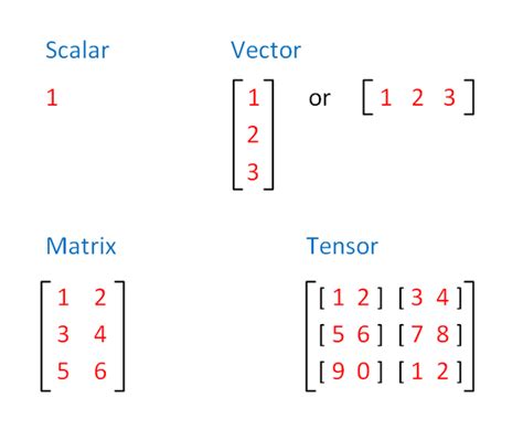 dimensión de un escalar vector matriz o tensor platzi