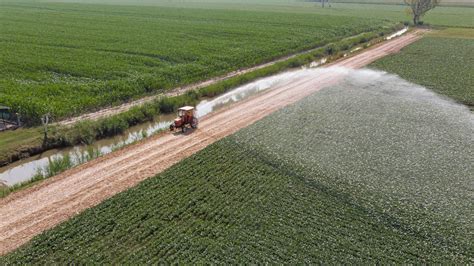 What Are The Pros And Cons Of Different Garden Irrigation Methods