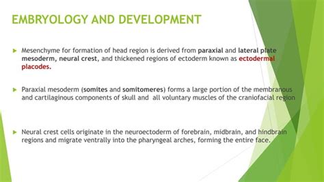 Congenital Anomalies Of Head Neck And Face Radiology Including Usg And